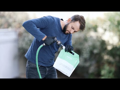 Pestie: The 411 on the Popular DIY Pest Control Service