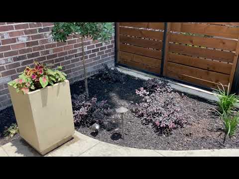 Why Detached Zero Lot Line Homes Are Becoming Popular