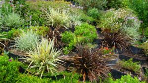 Dirt Locker: DIY Sustainable Erosion Control Landscaping